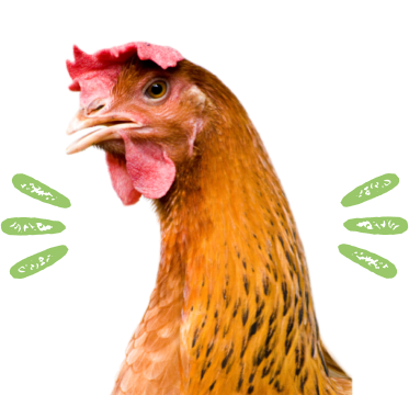 Ticket Types and Pricing